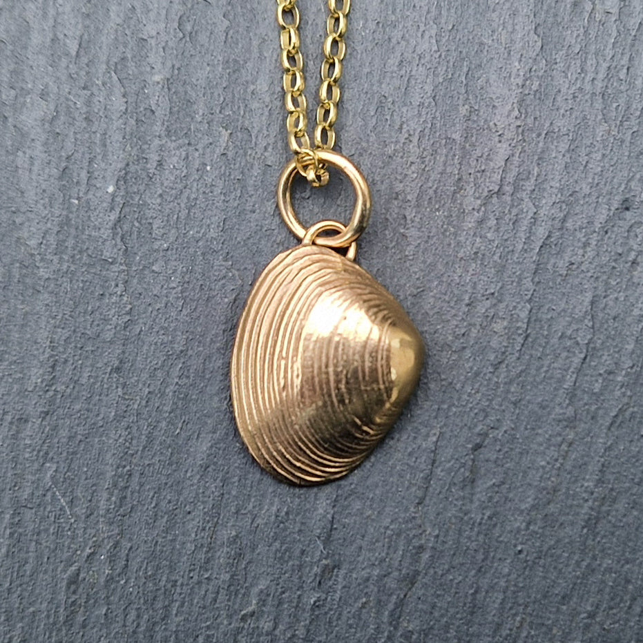 Clam Shell - Gold – Jewellery by Lucy Campbell