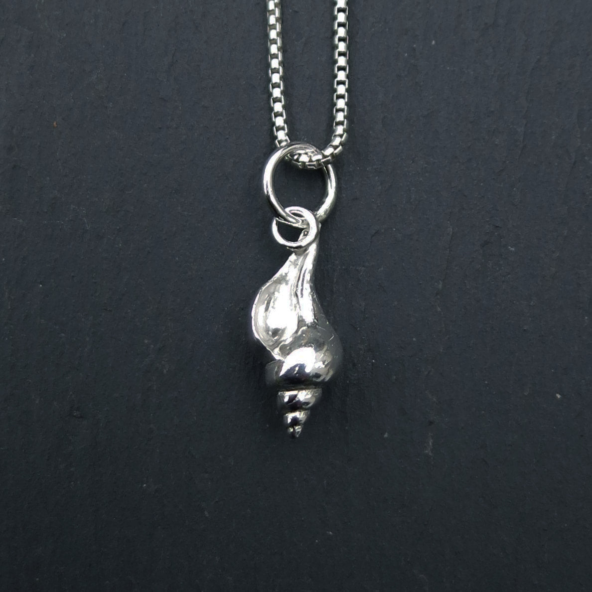 Conch Shell Pendant - Silver – Jewellery by Lucy Campbell